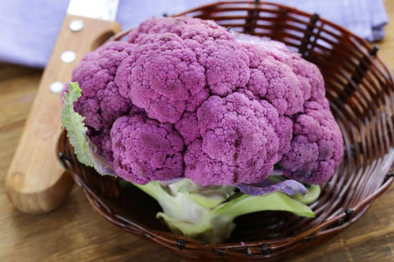 Ditaloni with purple cauliflower (Broccoli viola) – The Pasta Project