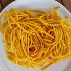 Bigoli with Duck Ragu from Veneto, Italy – The Pasta Project