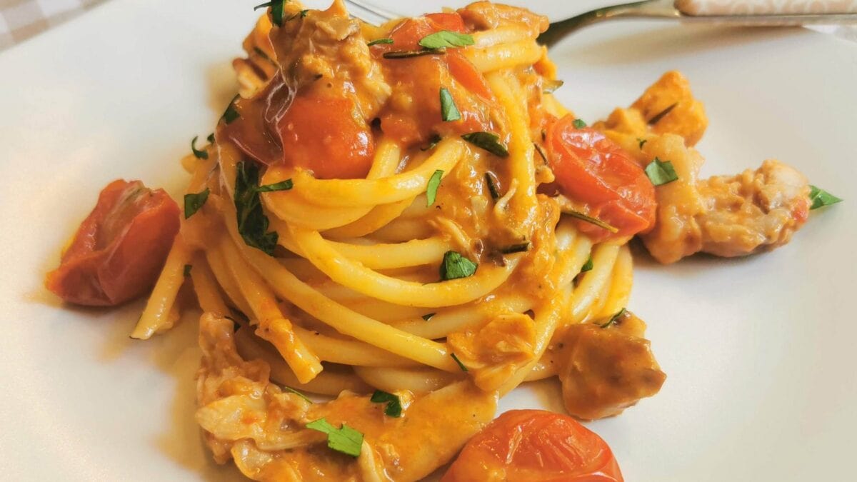 Bucatini Pasta with Braised Rabbit Ragu from Ischia – The Pasta Project