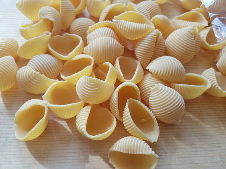 Cheesy Conchiglie Pasta al Forno baked pasta shells – The Pasta Project