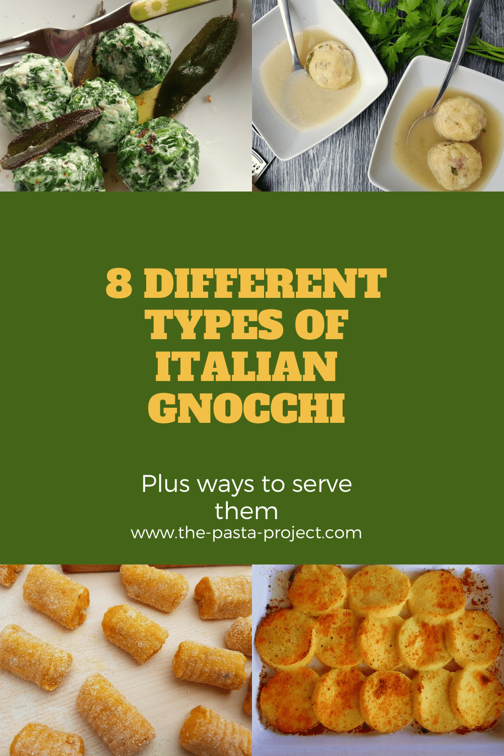 Different types of Italian gnocchi. – The Pasta Project