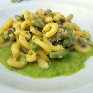 Gramigna: Pasta from Emilia-Romagna. – The Pasta Project