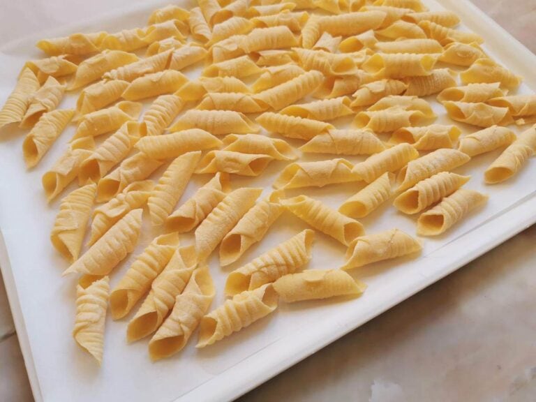 Homemade garganelli pasta with sausage ragu recipe. – The Pasta Project