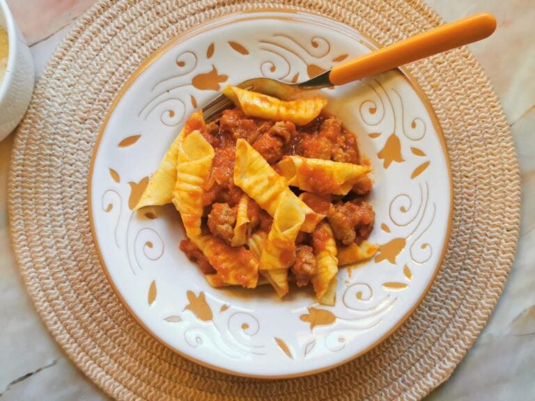 Homemade garganelli pasta with sausage ragu recipe. – The Pasta Project