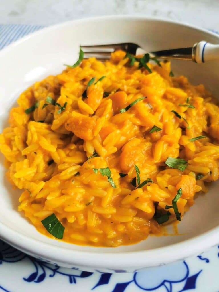 Pasta Risotto with Pumpkin or Winter Squash. – The Pasta Project