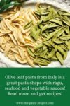 Olive leaf pasta (foglie d'ulivo) – The Pasta Project
