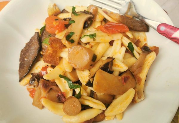 Olive leaf pasta (foglie d'ulivo) – The Pasta Project