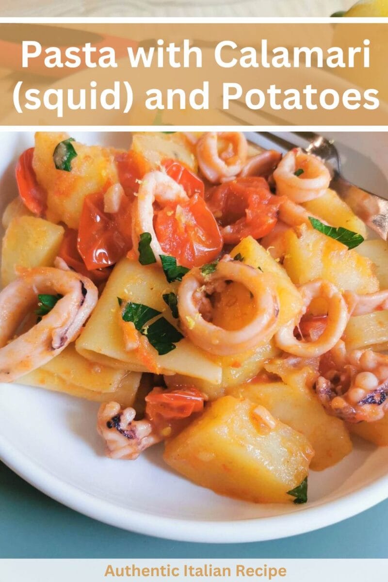 Paccheri Pasta with Calamari (squid) and Potatoes – The Pasta Project