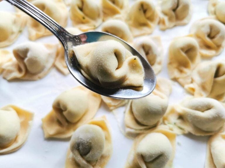 Pansotti Pasta with Walnut Sauce Recipe from Liguria – The Pasta Project