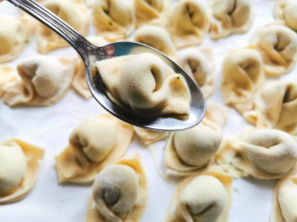 Pansotti Pasta with Walnut Sauce Recipe from Liguria – The Pasta Project