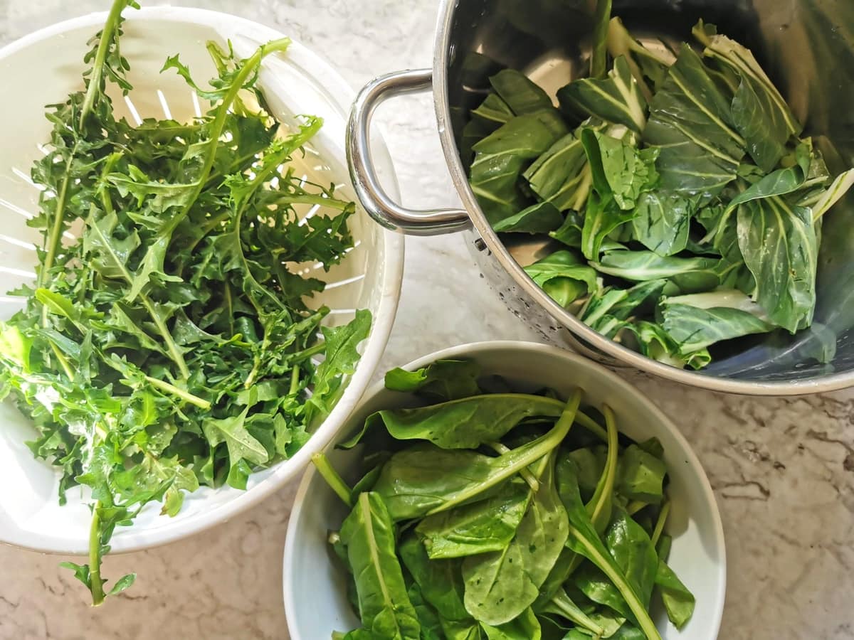 Pansotti Pasta with Walnut Sauce Recipe from Liguria – The Pasta Project