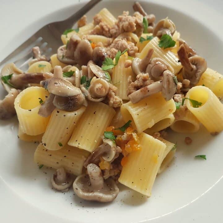 All about rigatoni pasta plus recipes for it. – The Pasta Project