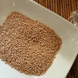 Homemade beef broth with whole-wheat grattoni pasta. – The Pasta Project