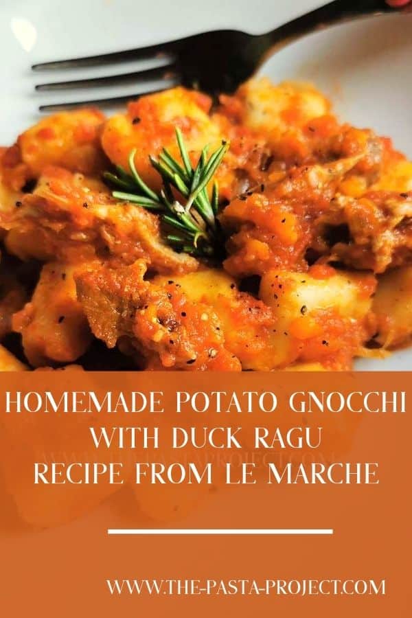 Homemade Gnocchi with Duck Ragu. – The Pasta Project