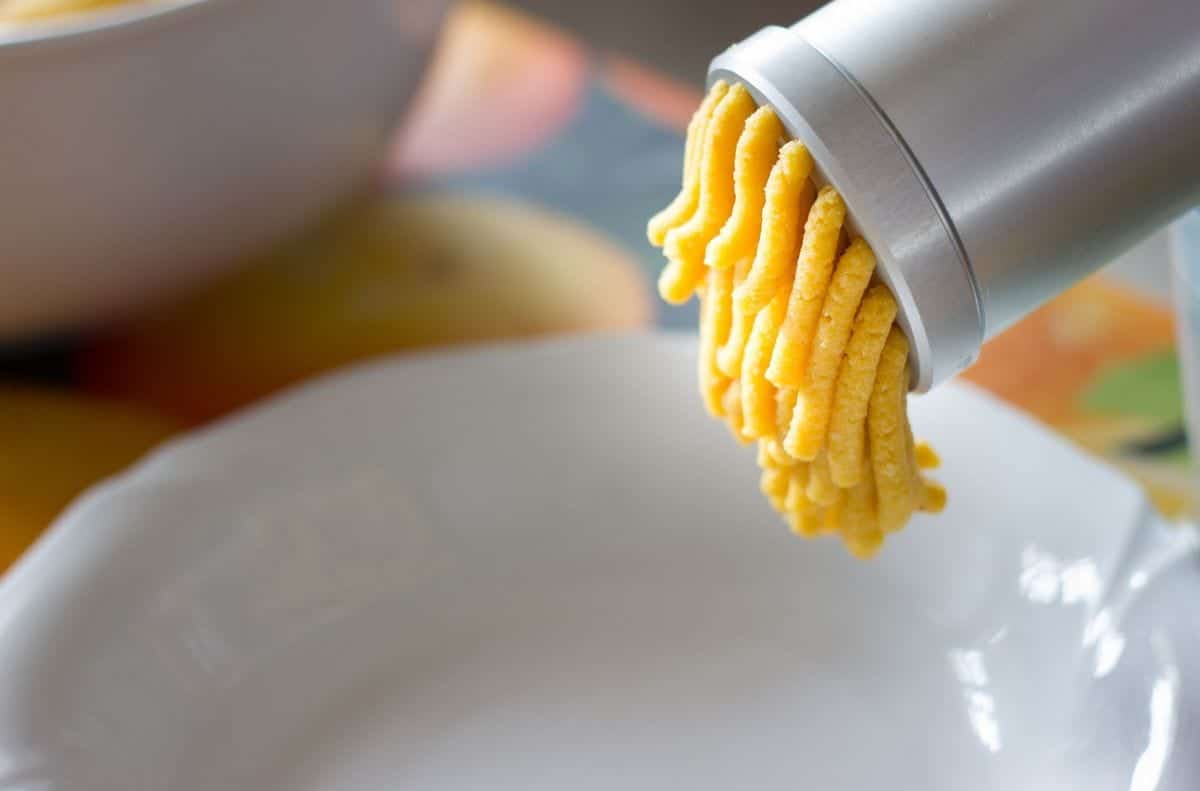 Passatelli Pasta from Emilia-Romagna – The Pasta Project