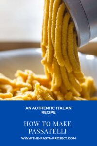 Passatelli Pasta from Emilia-Romagna – The Pasta Project