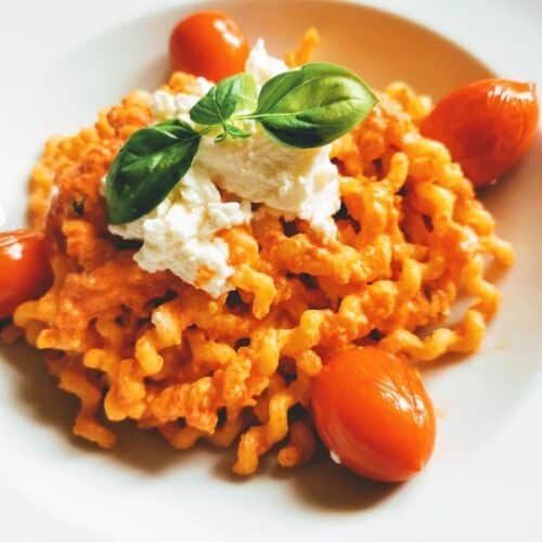 Fusilli Bucati Corti (short hollow fusilli) – The Pasta Project