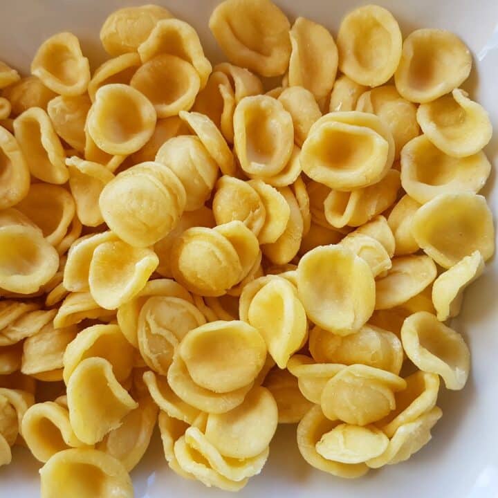 Italy's Regions – The Pasta Project