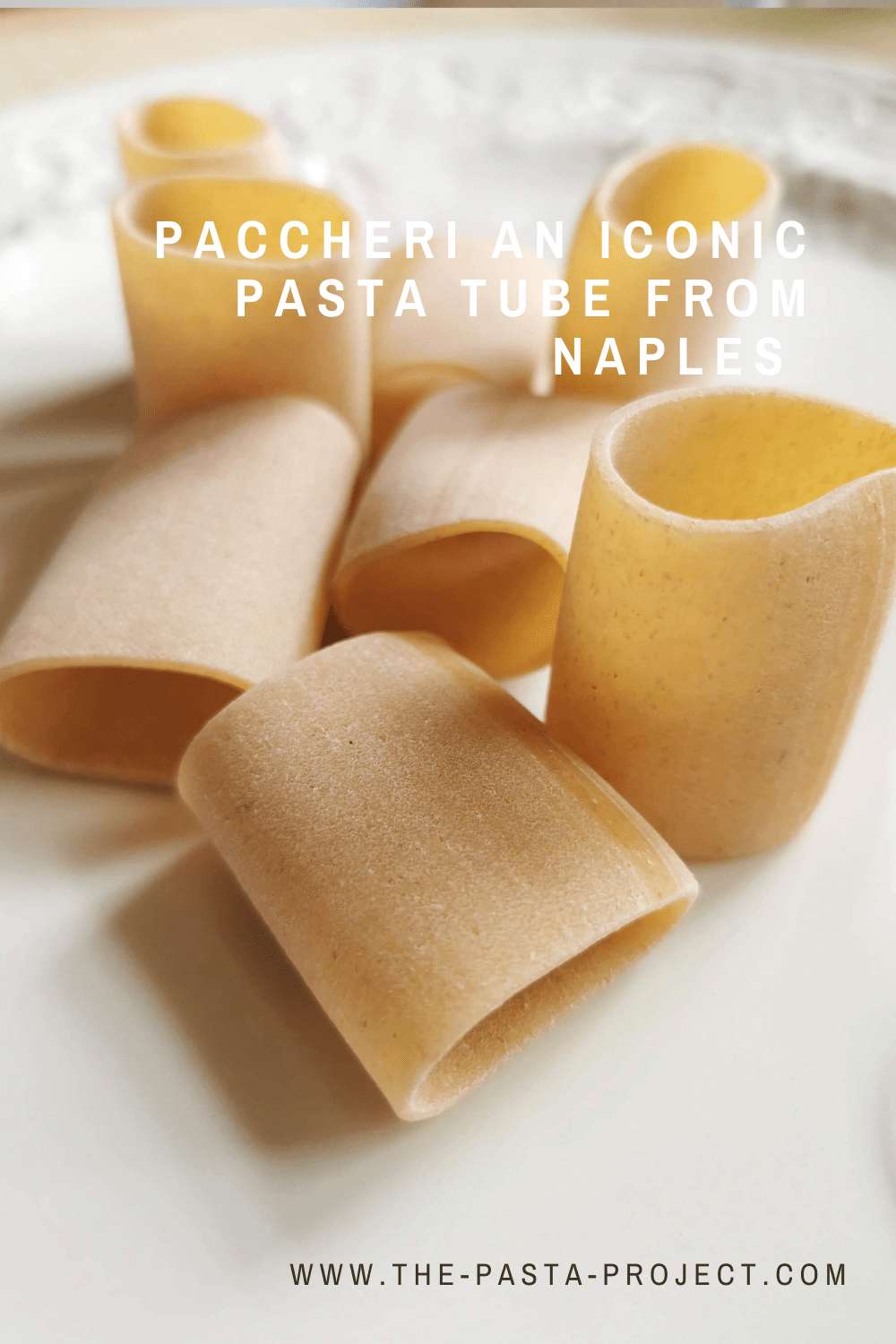 Paccheri (everything you need to know) – The Pasta Project