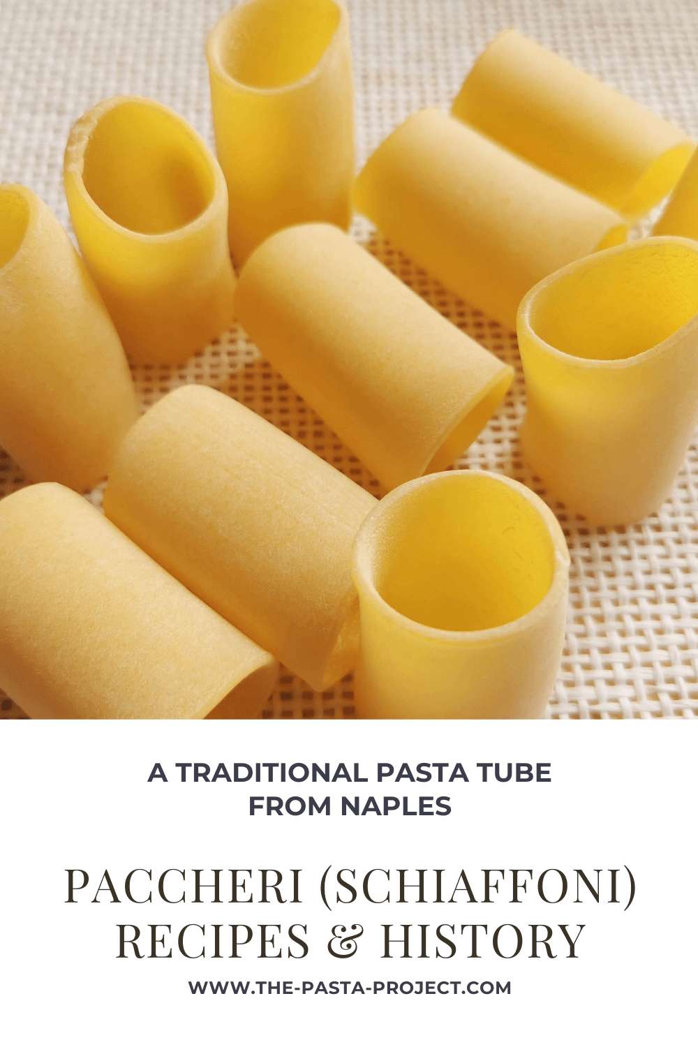 Paccheri (everything you need to know) – The Pasta Project