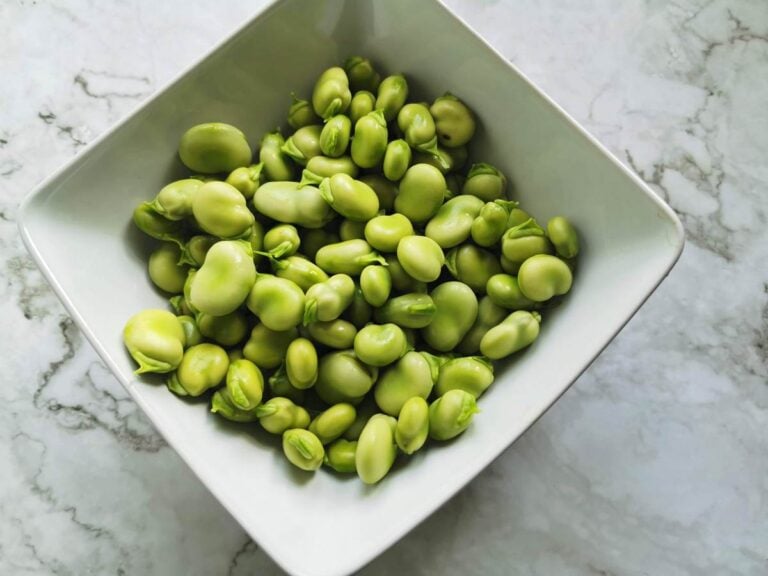 Pasta with fava beans and pancetta (fave in porchetta). – The Pasta Project