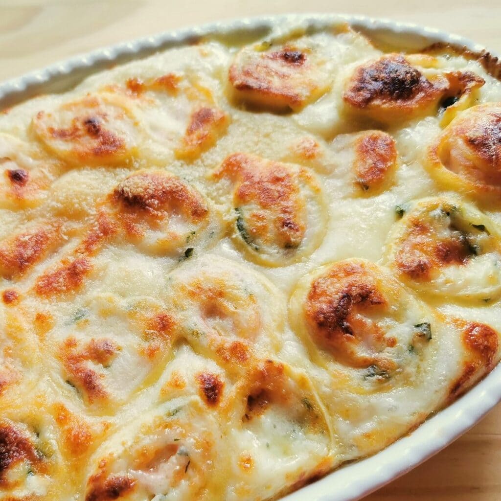 Lasagne or lasagna. – The Pasta Project