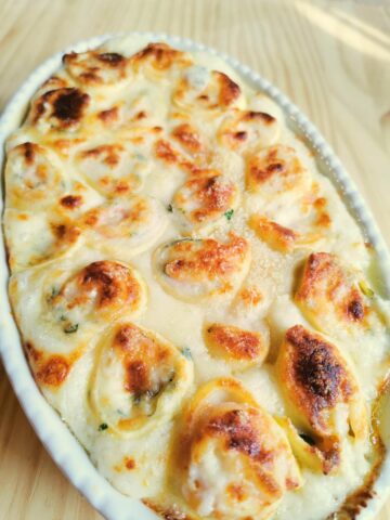 Smoked Salmon Pasta Rosettes (rolls) – The Pasta Project