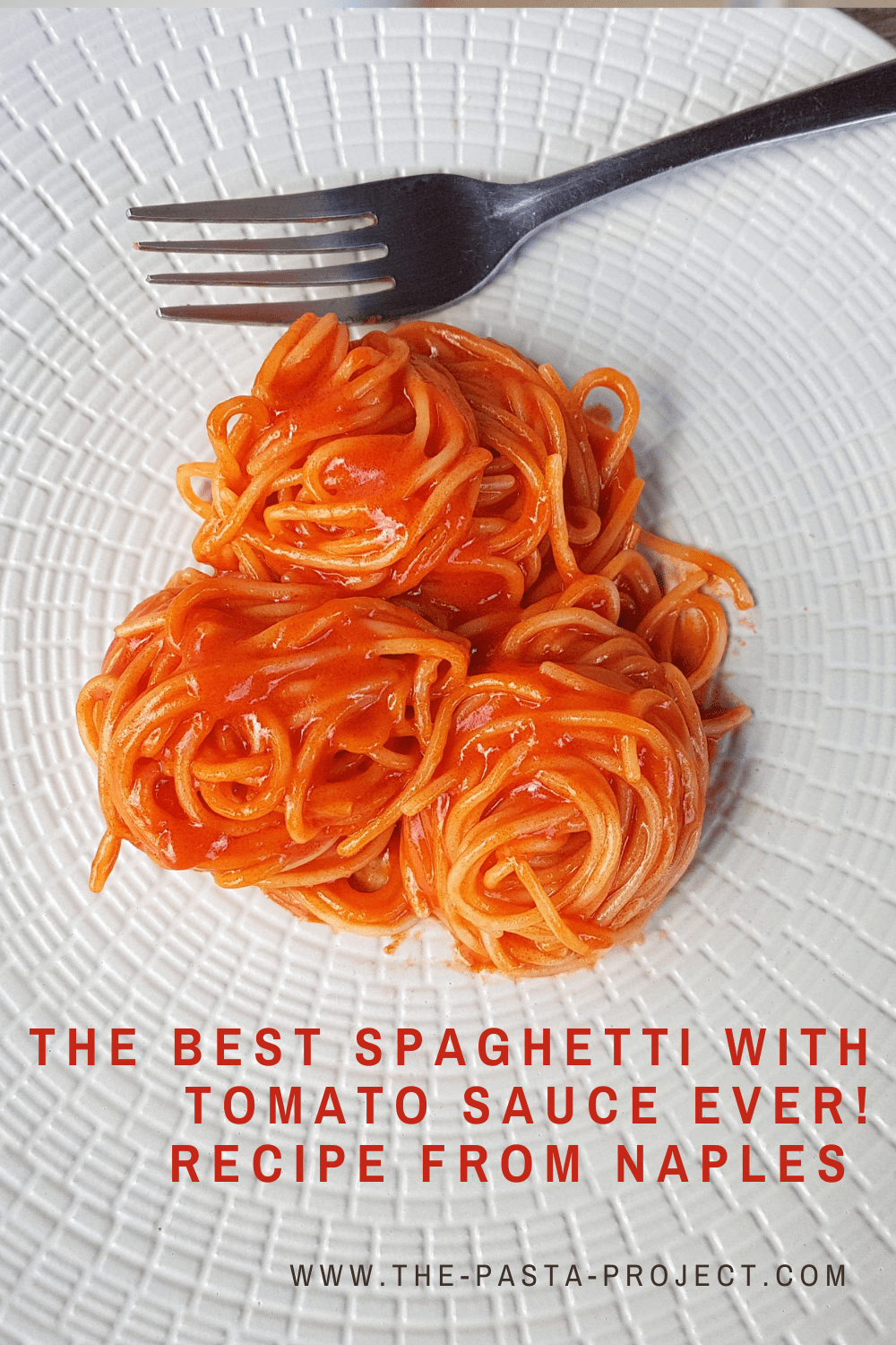 The Best Spaghetti with Tomato Sauce Ever! – The Pasta Project
